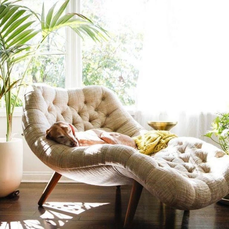 30+ Inspiring Reading Room Decoration Ideas To Make You Cozy