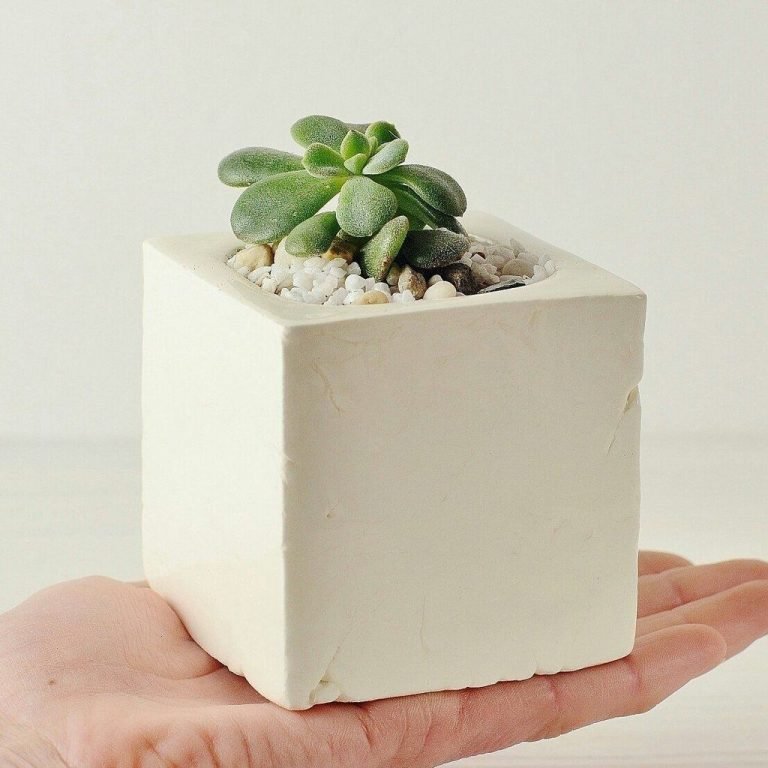 30+ Marvelous Small Planters Ideas To Maximize Your Interior Design