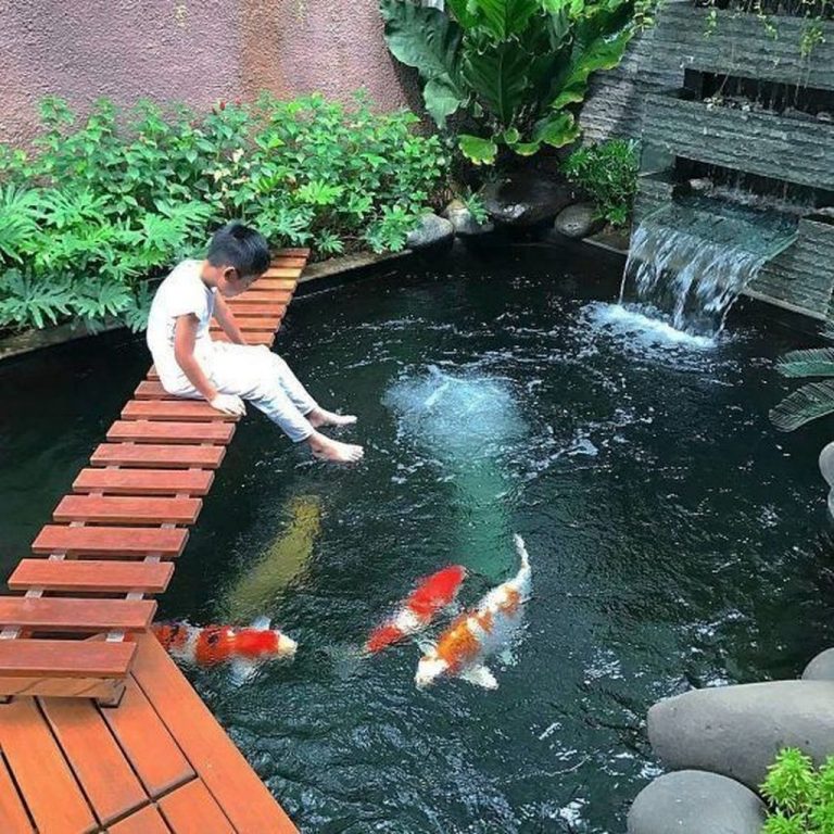 30+ Adorable Fish Ponds Inspirations For Your Home